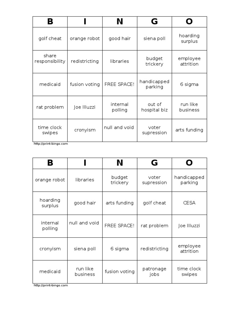 Bingo | PDF | Voting | Elections