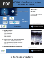 Anatomie et Fractures du Rocher | PDF | Tête et cou chez l'humain ...