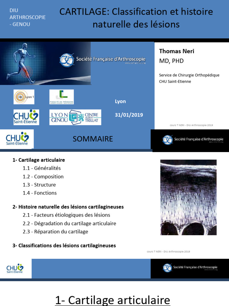 Classification des lésions cartilagineuses | PDF | Cartilage ...