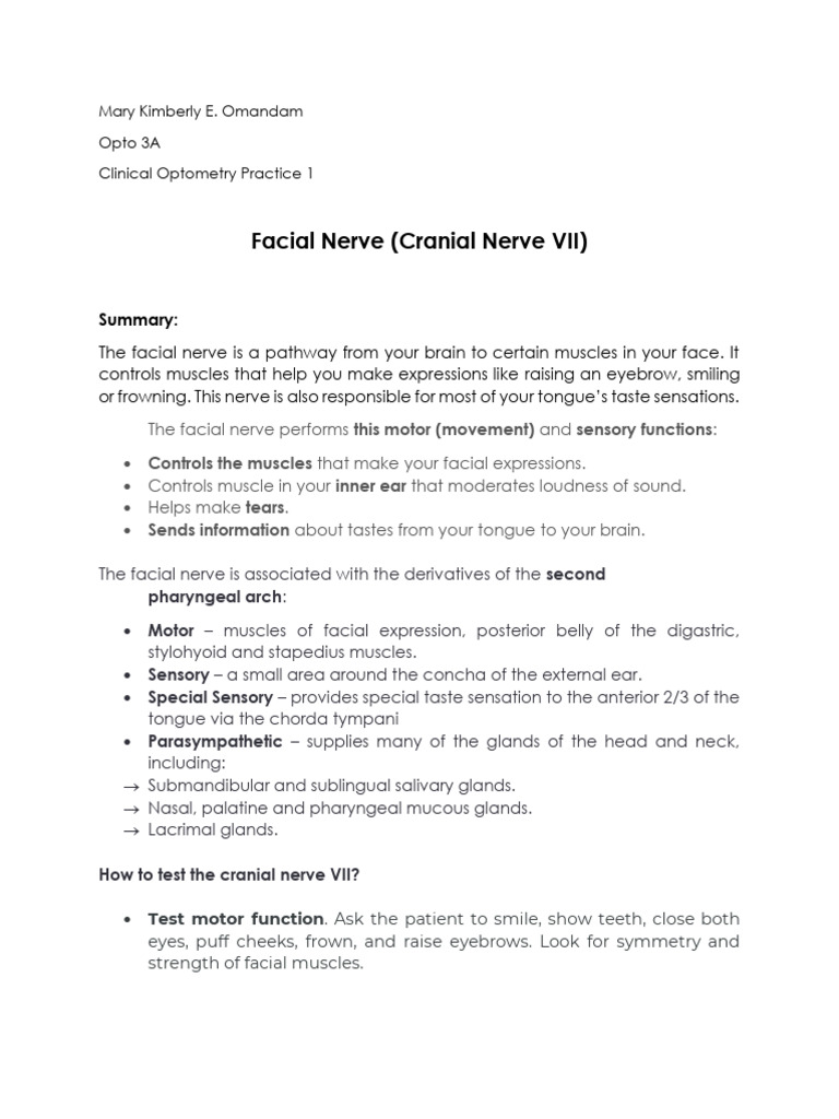 Cranial Nerves 7&8 | PDF | Human Head And Neck | Human Anatomy