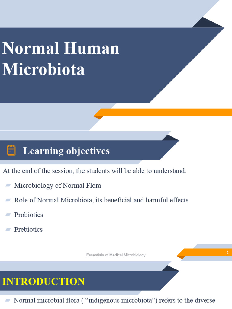 Chapter 7 Normal Human Microbiota | PDF | Probiotic | Virus