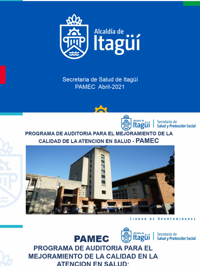 Presentacion PAMEC | PDF | Evaluación | Medición