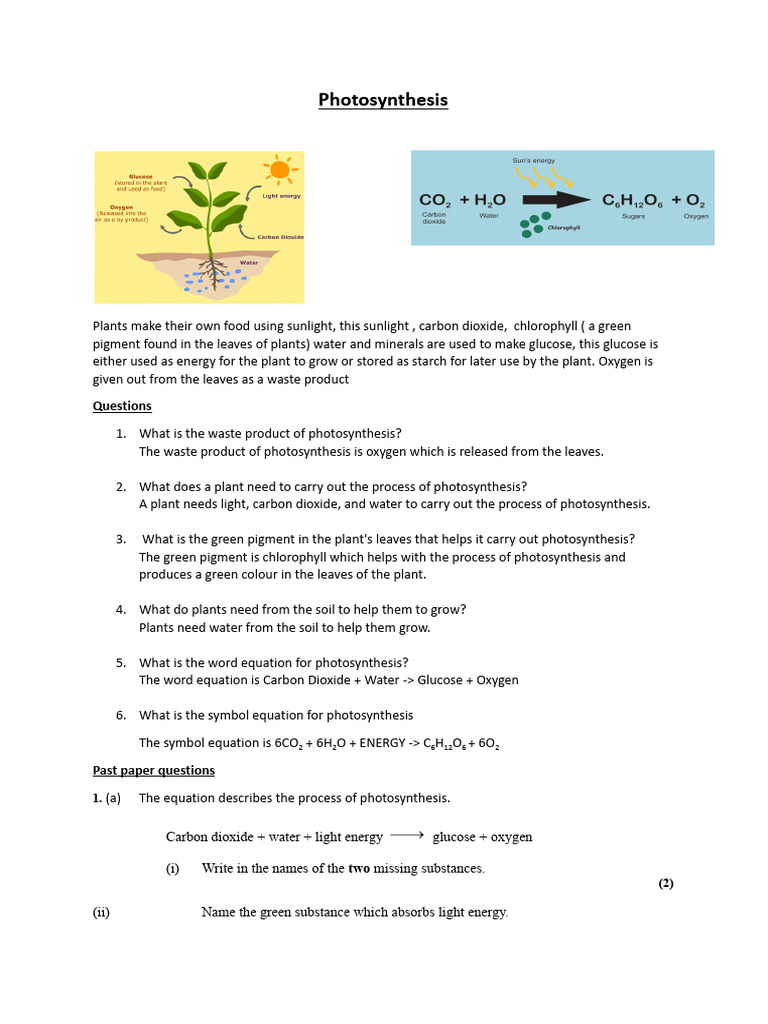 Kopia Av Photosynthesis - With-Past-Exam-Questions | Download Free PDF ...