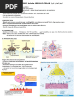 Comprendre le syndrome myogène | PDF | Contraction du muscle | Muscle