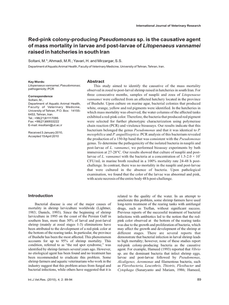 Pink Bacteria On Shrimp Nauplii | PDF | Polymerase Chain Reaction ...
