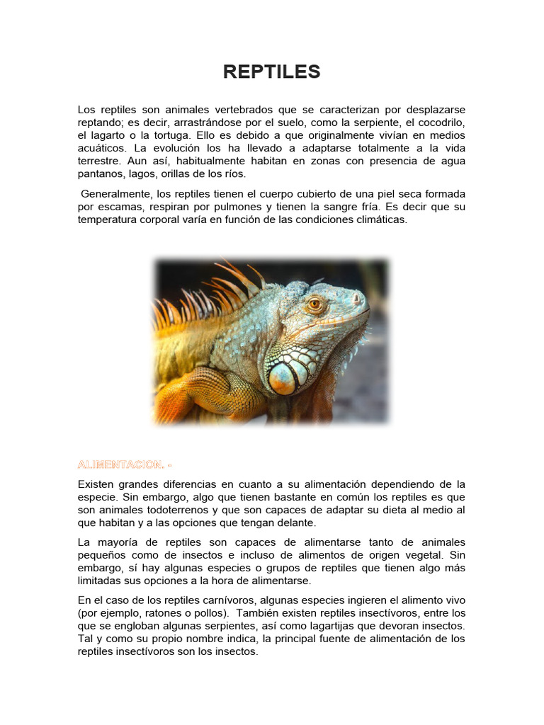Reptiles | PDF | Reptil | Habitat