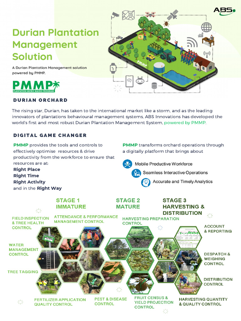 PMMP Durian Orchard Brochure | PDF | Innovation | Business
