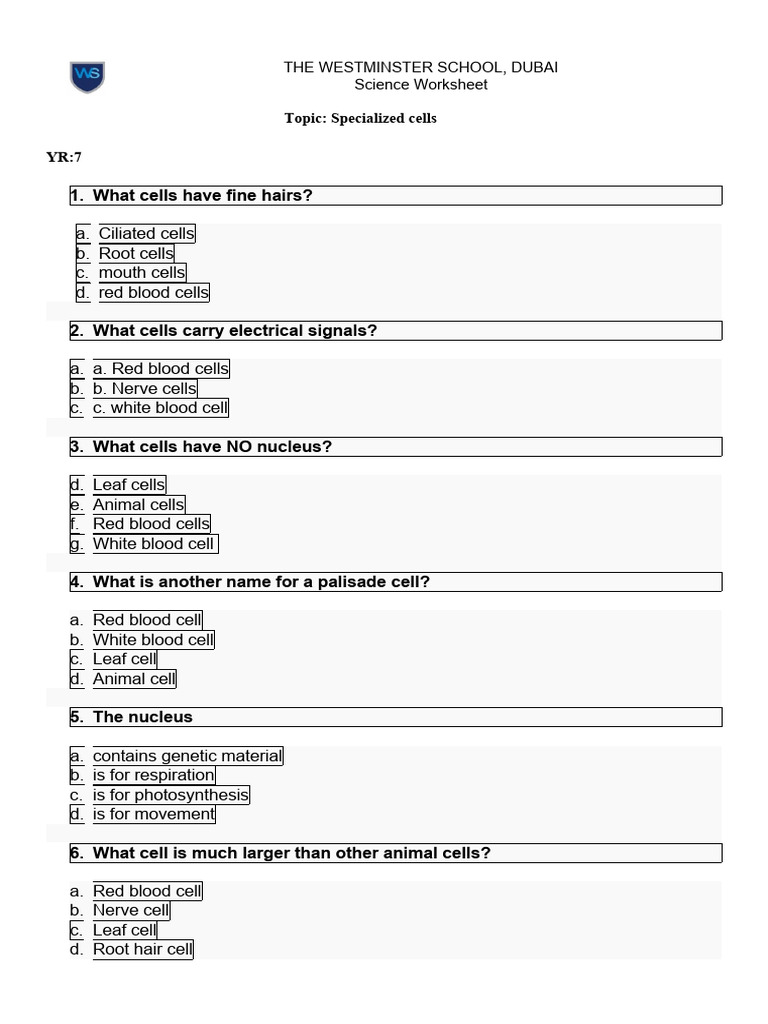 Specialized Cells - Science - Yr7 | PDF | Cell (Biology) | Leaf