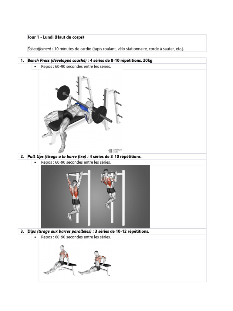 Programme Musculation | PDF