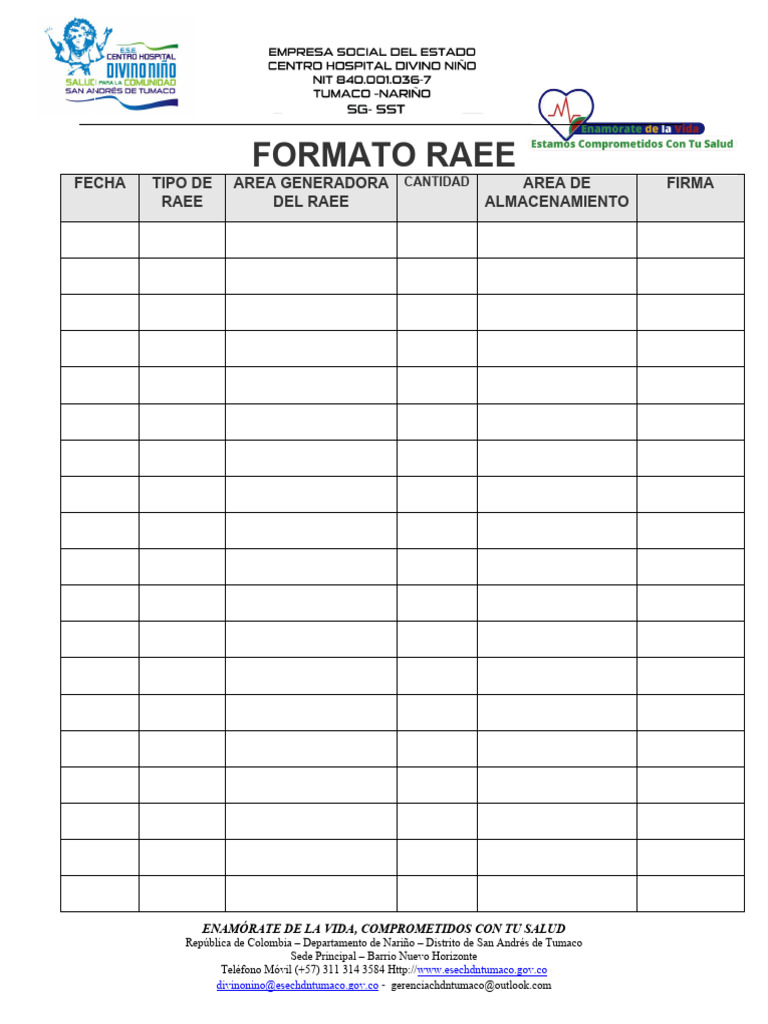Formato Raee | PDF