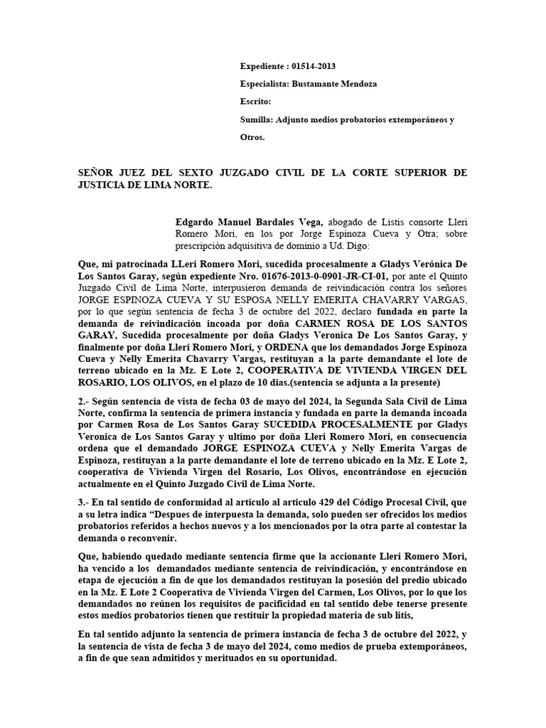 Alegatos y Medios Extemporaneos Lleri Mori | PDF | Sentencia (ley) | Derecho Civil (Common Law)