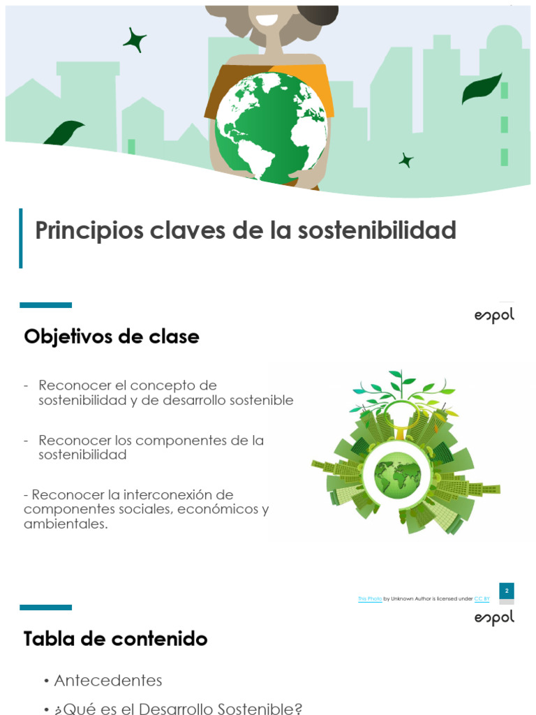 1.1 Principios Claves de La Sostenibilidad 2023 | PDF | Sustentabilidad | Residuos