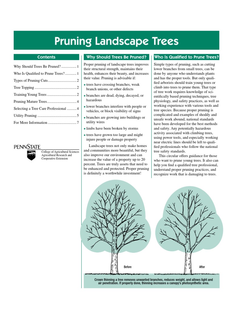 Pruning Trees | Download Free PDF | Pruning | Trees