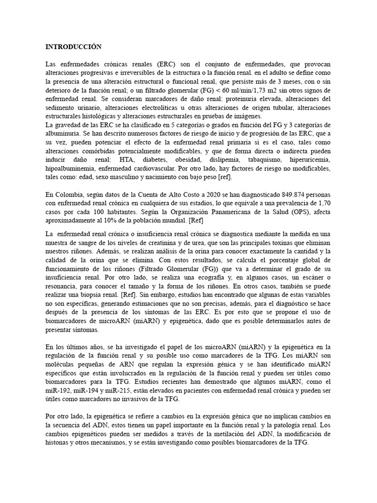 Taller Final Morfo 2 Renal | PDF | Riñón | Órgano (anatomía)