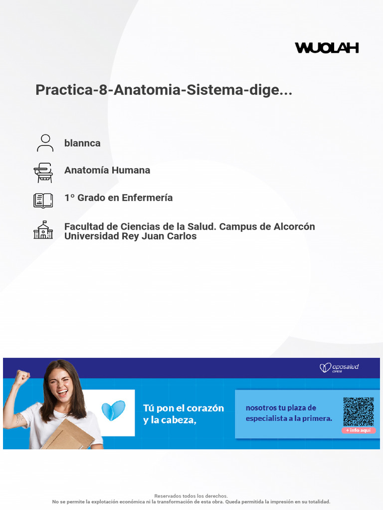 Wuolah Free Practica 8 Anatomia Sistema Digestivo II y Genitourinario | PDF