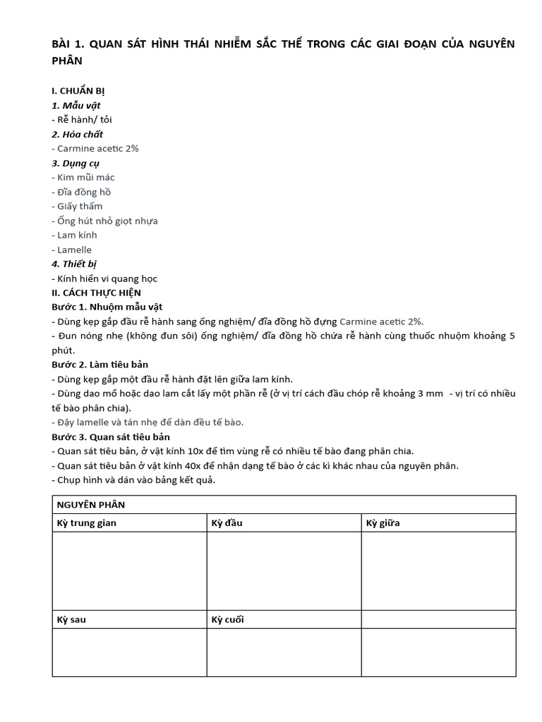 Practice - Mitosis + Meiosis | PDF