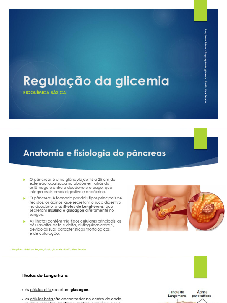 Regulação da glicemia completo-1 | PDF | Diabetes | Insulina