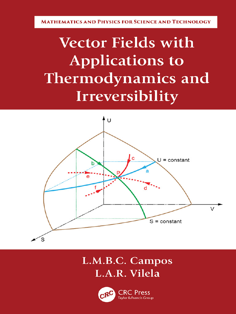 Vector Fields With Applications To Thermodynamics and Irreversibility (Luis Manuel Braga Da ...