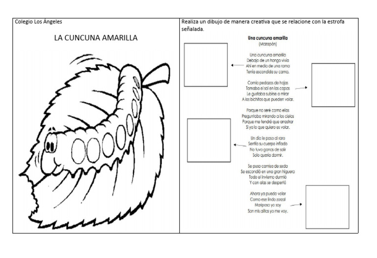 Cuncuna Amarilla | PDF