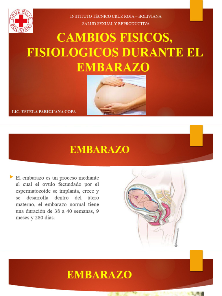 Tema Cambios Fisicos y Fisiologicos Durante El Embarazo | PDF | El embarazo | Vagina