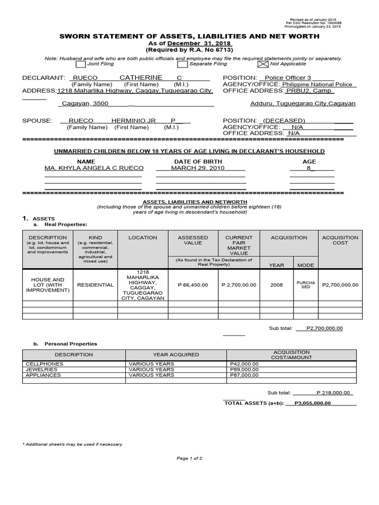 Saln 2019 | PDF | Net Worth | Business
