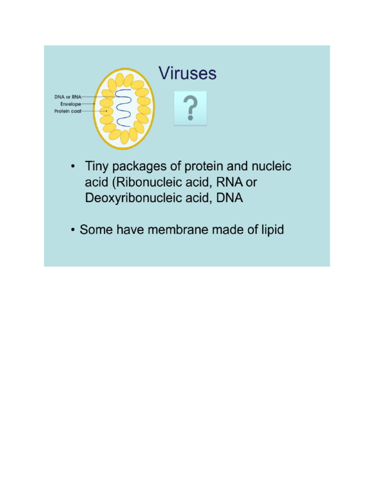 Viruses | PDF