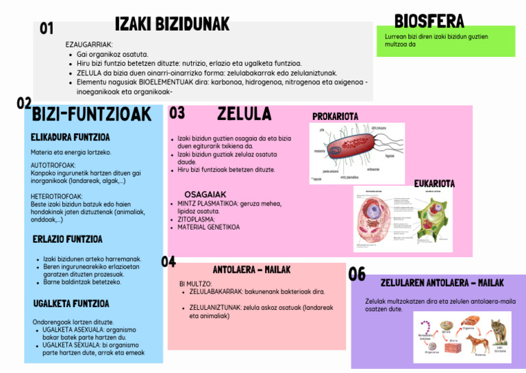 Izaki Bizidunak | PDF