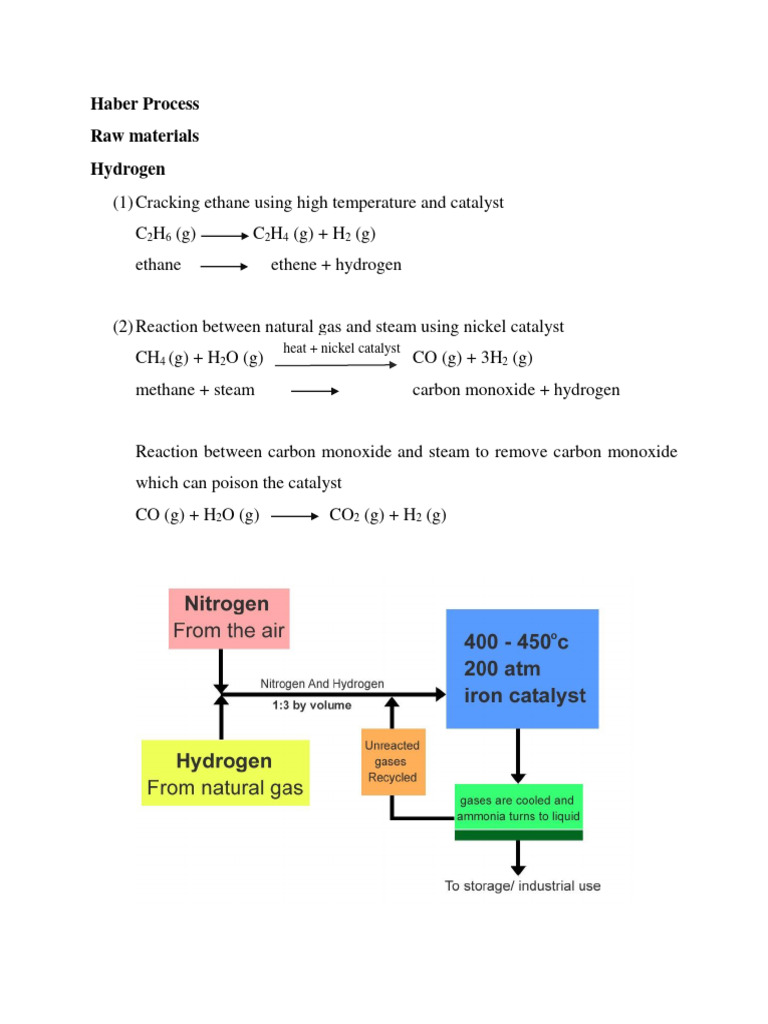 Haber Process and Contact Process | PDF