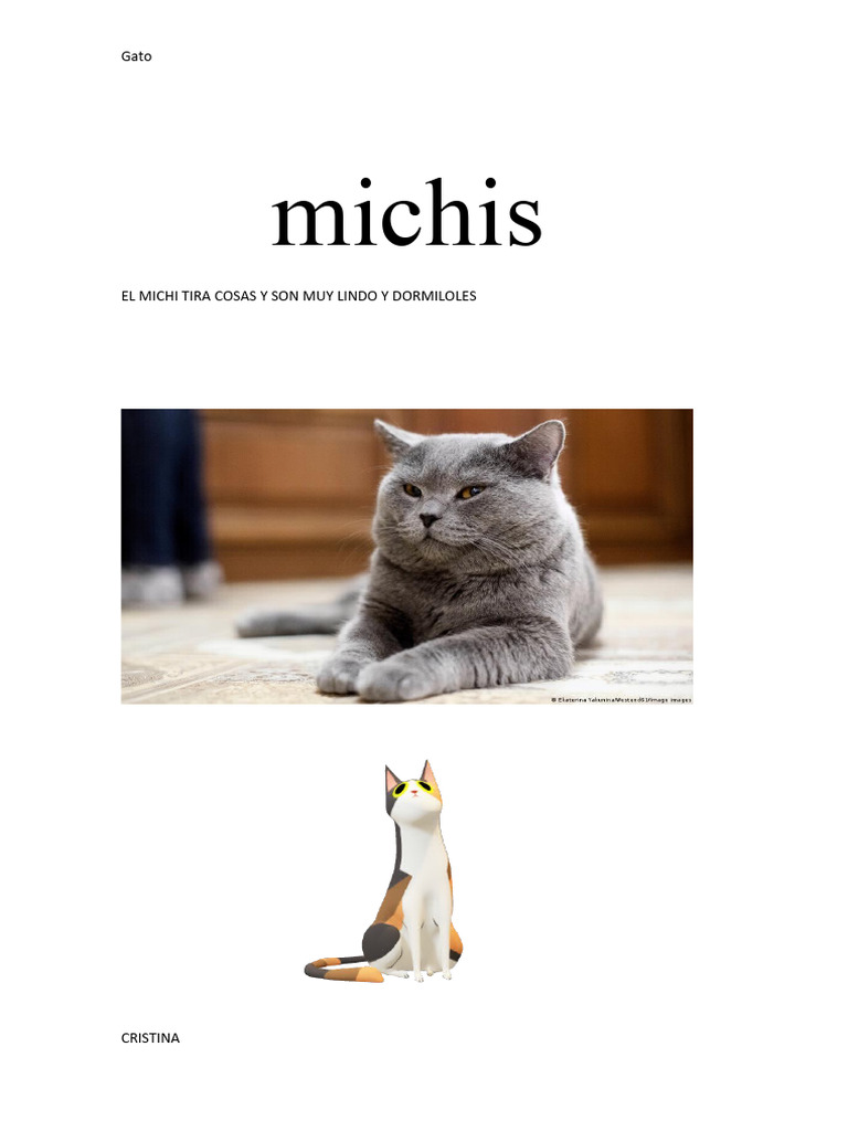 Cristina Michis | PDF