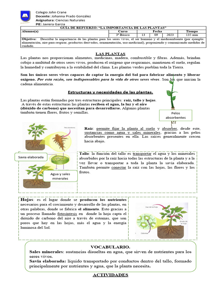 Guia de Las Plantas | PDF | Plantas | Nutrientes