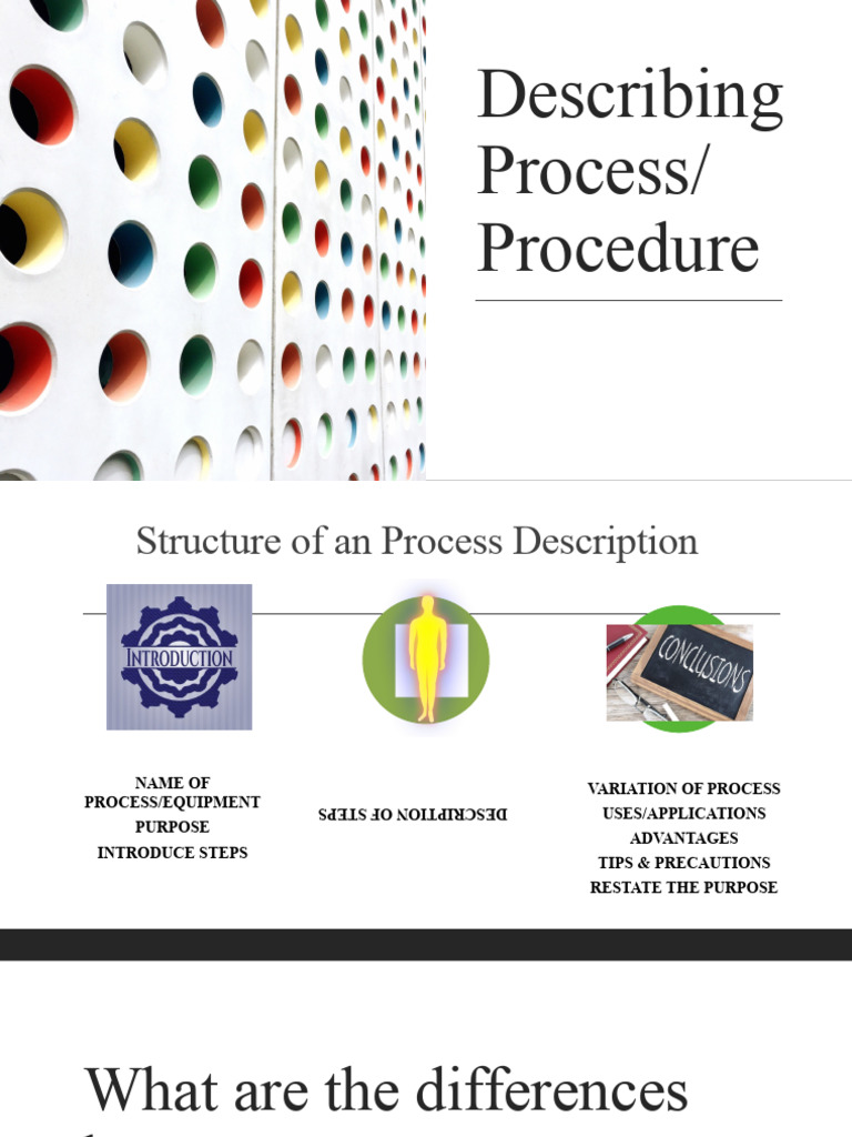 Describing Process | PDF