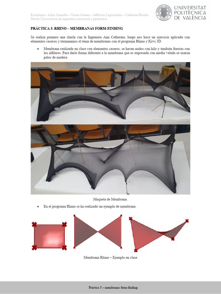 Practica3 MembranasRhino | PDF