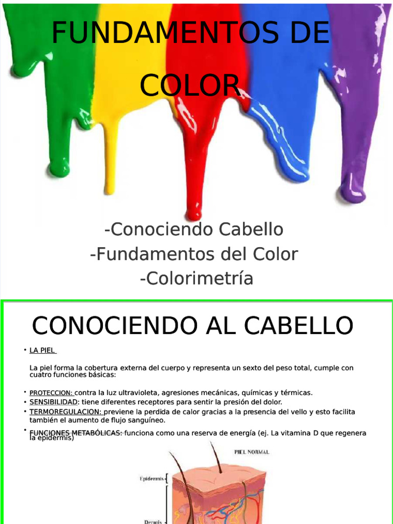 fundamentos-de-color-capilar | PDF | Cabeza y cuello humanos | Cuerpo ...