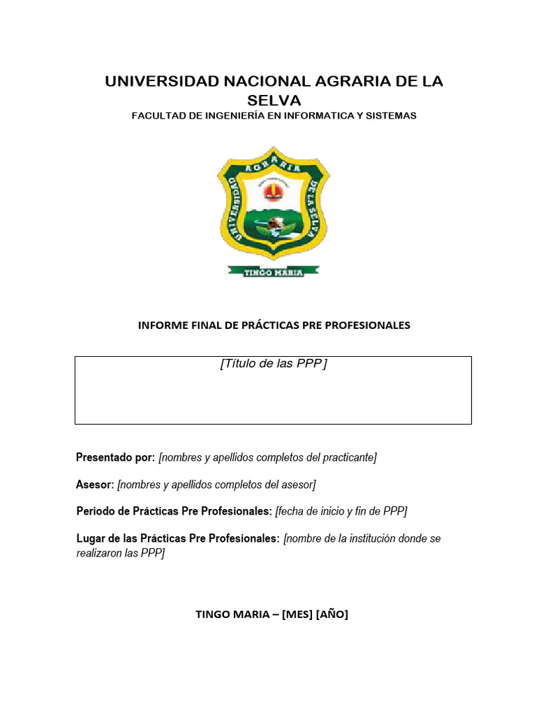 Estructura de Informe Final PPP FIIS | PDF | Disco compacto | Software