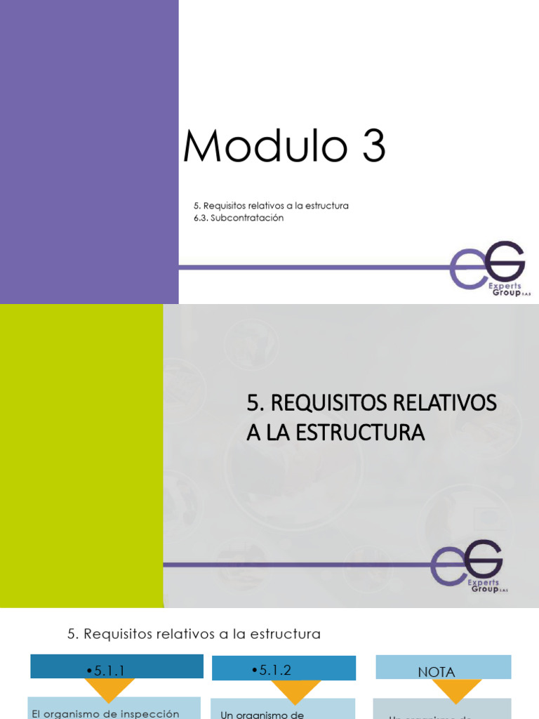 Modulo 3 | PDF | Outsourcing