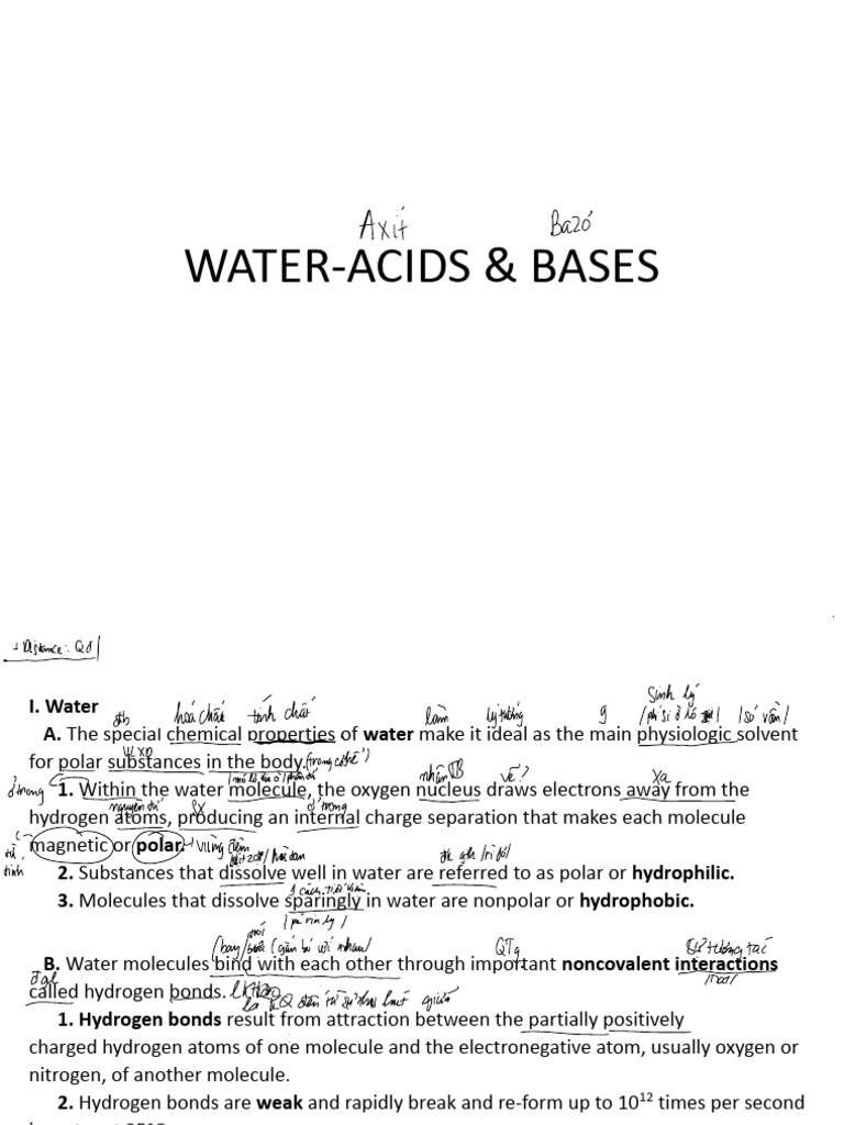 Lesson1 - Presentation-Water & Acid-Base | PDF | Acid | Acid ...