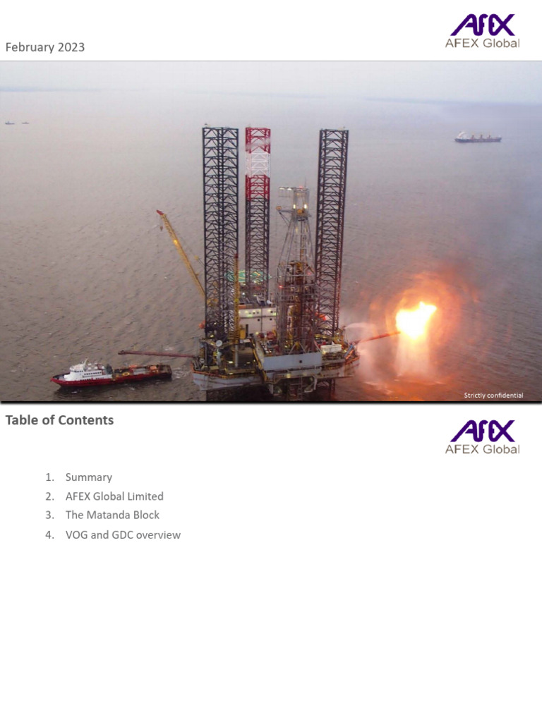 AFEX Information Summary - 2023-02 | PDF | Natural Gas | Valuation ...