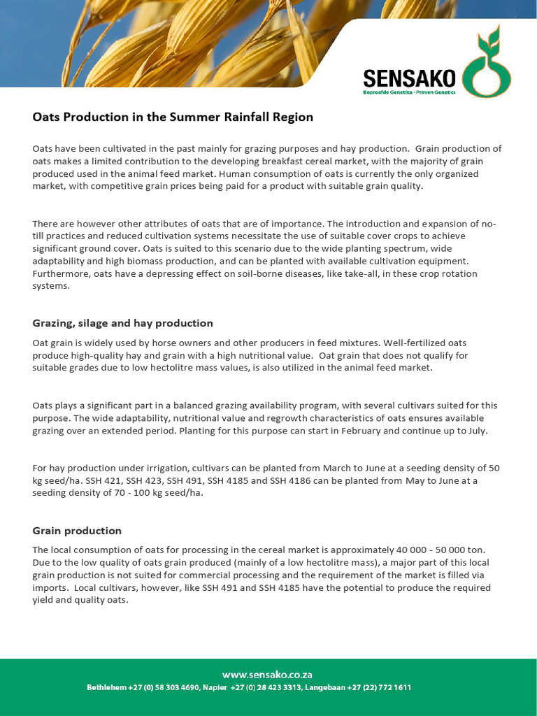 Oats Production | PDF | Oat | Wheat