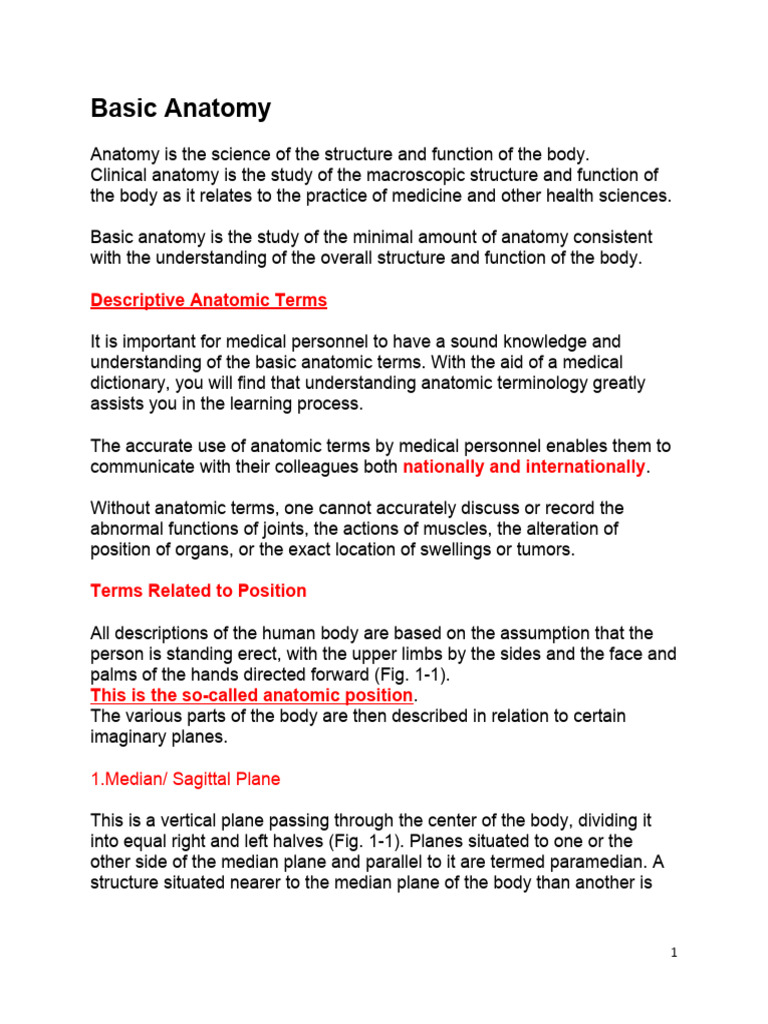 11 Basic Anatomy | PDF | Anatomical Terms Of Motion | Anatomical Terms ...