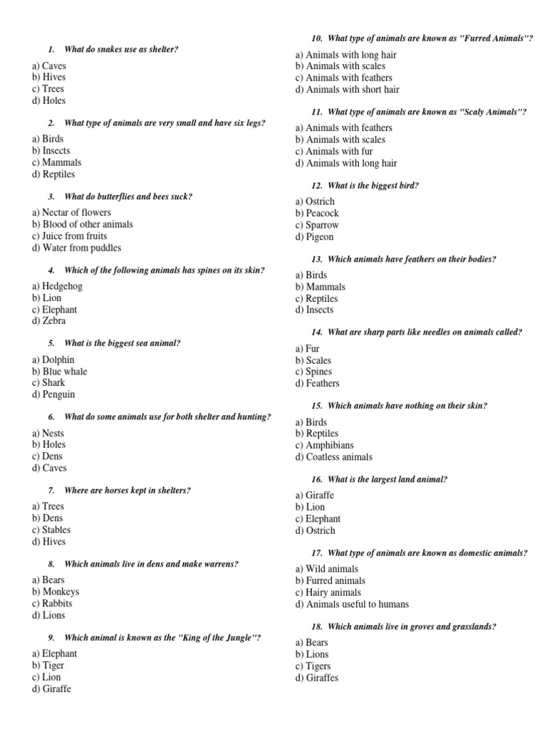 Test Class 3 | PDF | Birds | Mammals