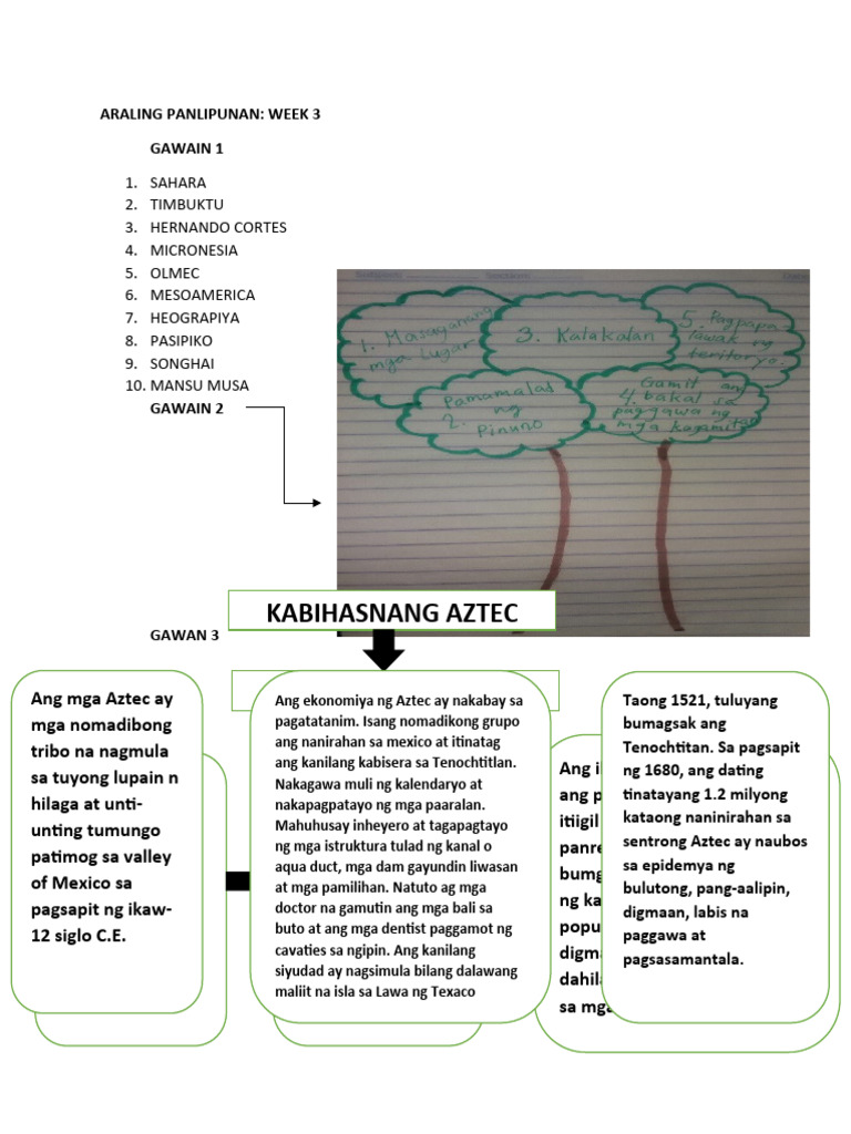 Ap - Week 3 | PDF