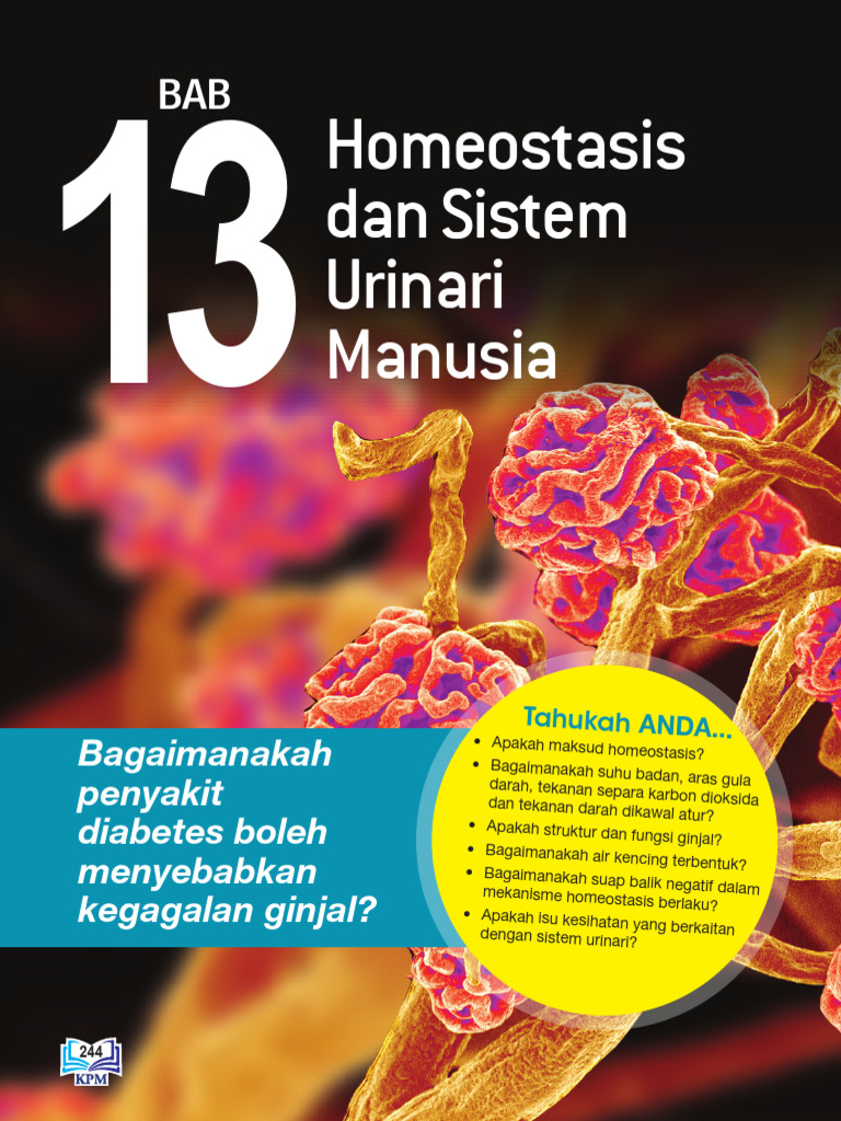 120 3 KSSM 2019 DP Biologi Tingkatan 4 Part 2 3 KSSM 2019 DP Biologi Tingkatan 4 Part 2 | PDF