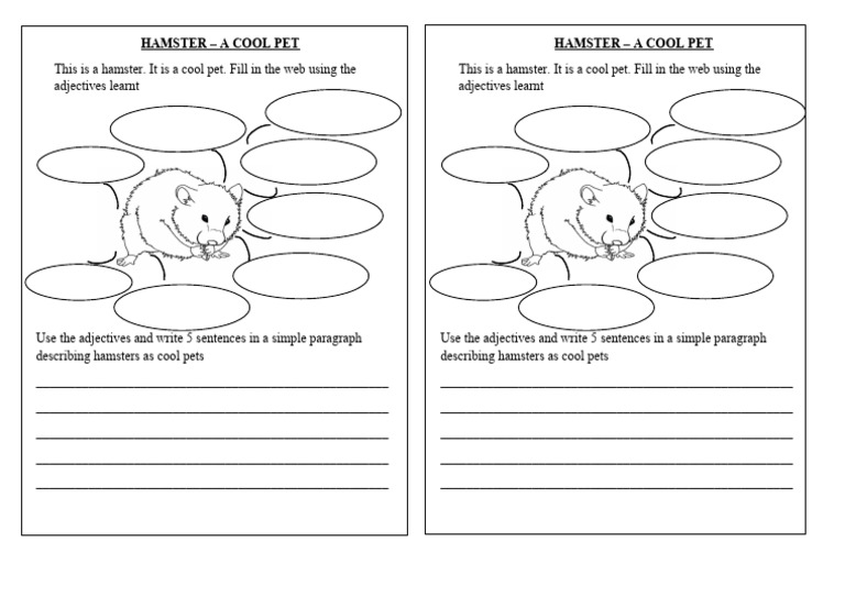 hamster worksheet | PDF