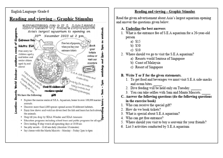 Grade 6 Graphic Stimulus Worksheet | PDF