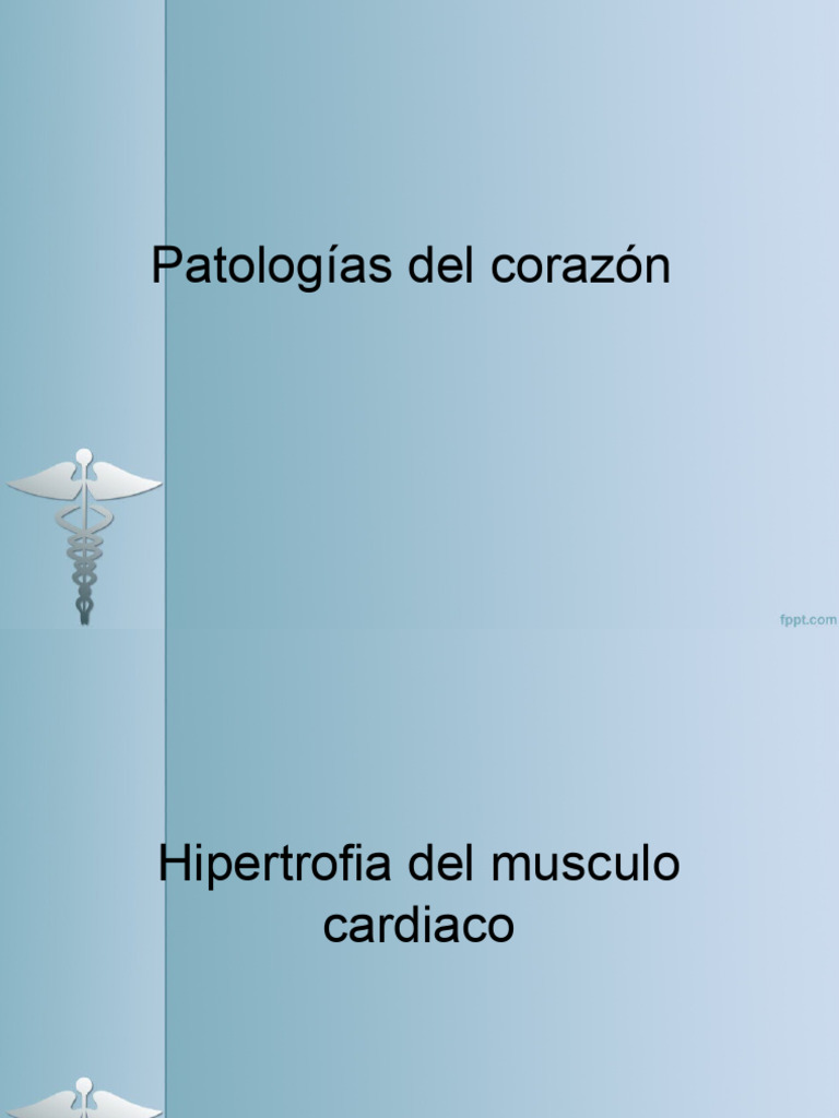Hipertrofia y Infarto del Miocardio | PDF | Infarto de miocardio | Corazón