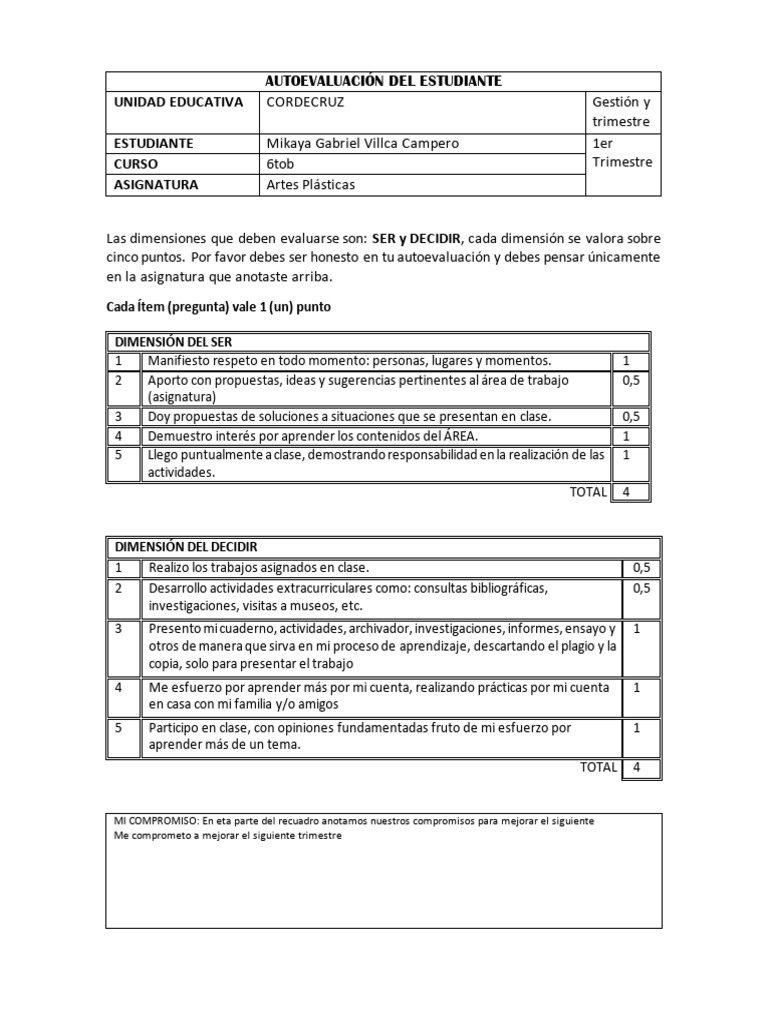AUTOEVALUACIÓN | PDF | Aprendizaje | Cognición