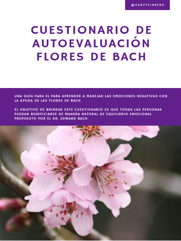 Cuestionario de Autoevaluación de Las Flores de Bach | PDF | Remedios ...