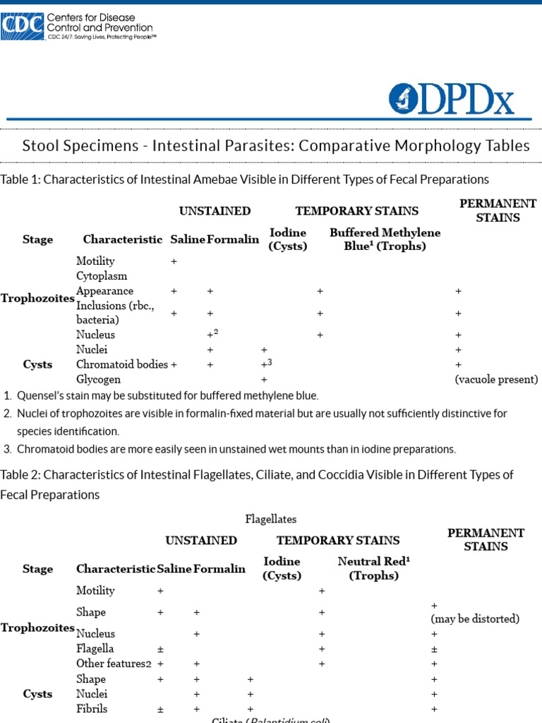 CDC - DPDX - Diagnostic Procedures - Stool Specimens | PDF | Staining