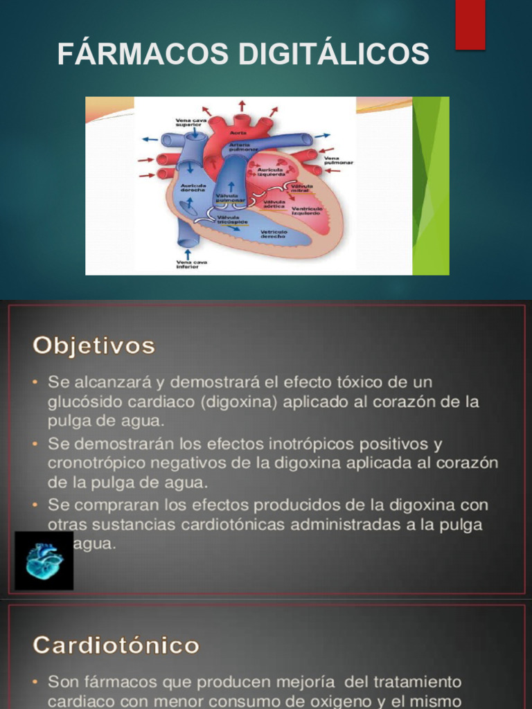 Fármacos Digitálicos | PDF