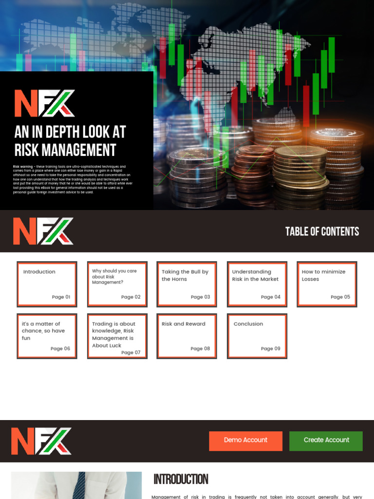 Look at Risk Management | PDF | Risk | Foreign Exchange Market